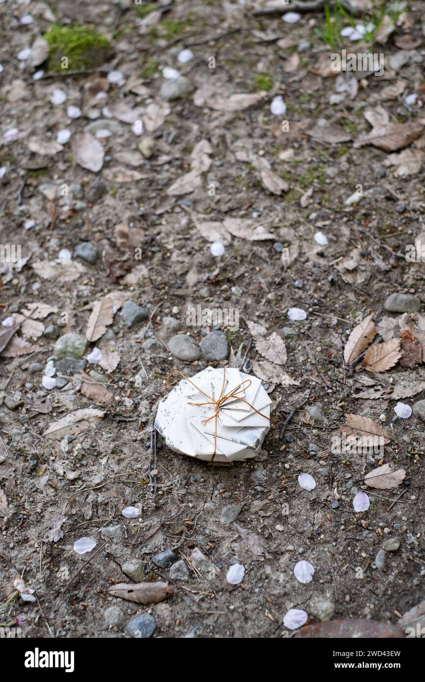 Origami packaged offering on the ground, with fallen cherry blossom ...