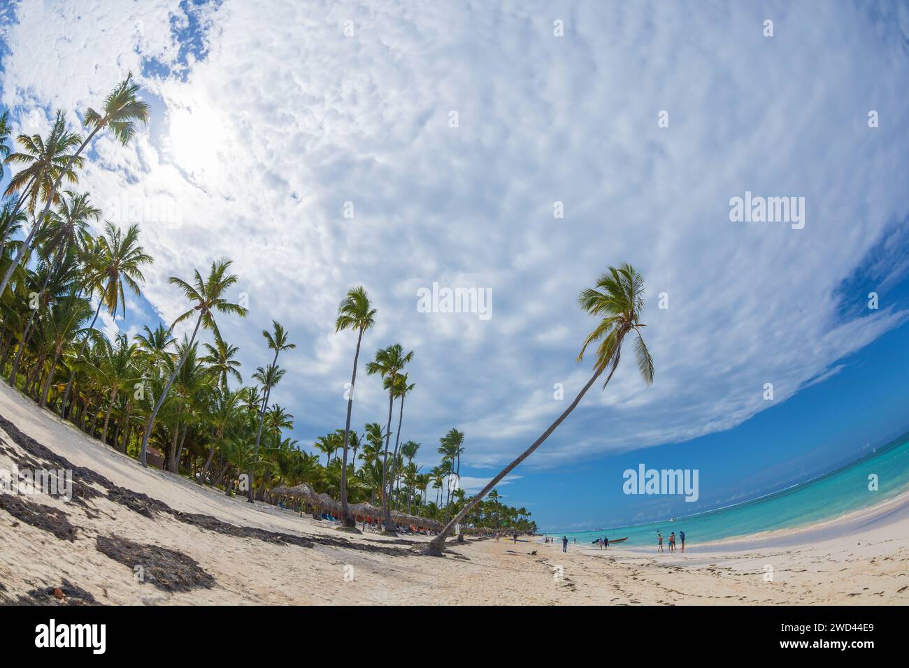 Beautiful wild and sand beach in Punta Cana, Dominican Republic. Fish ...