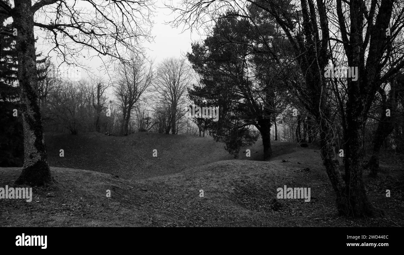 War-scarred landscape, Verdun battlefield, Les Eparges, Meuse, Grand ...