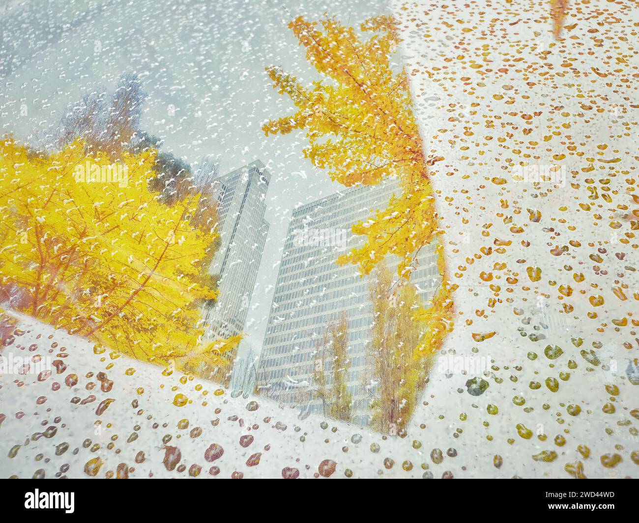 Double exposure of San Francisco skylines and raindrops on glass window ...