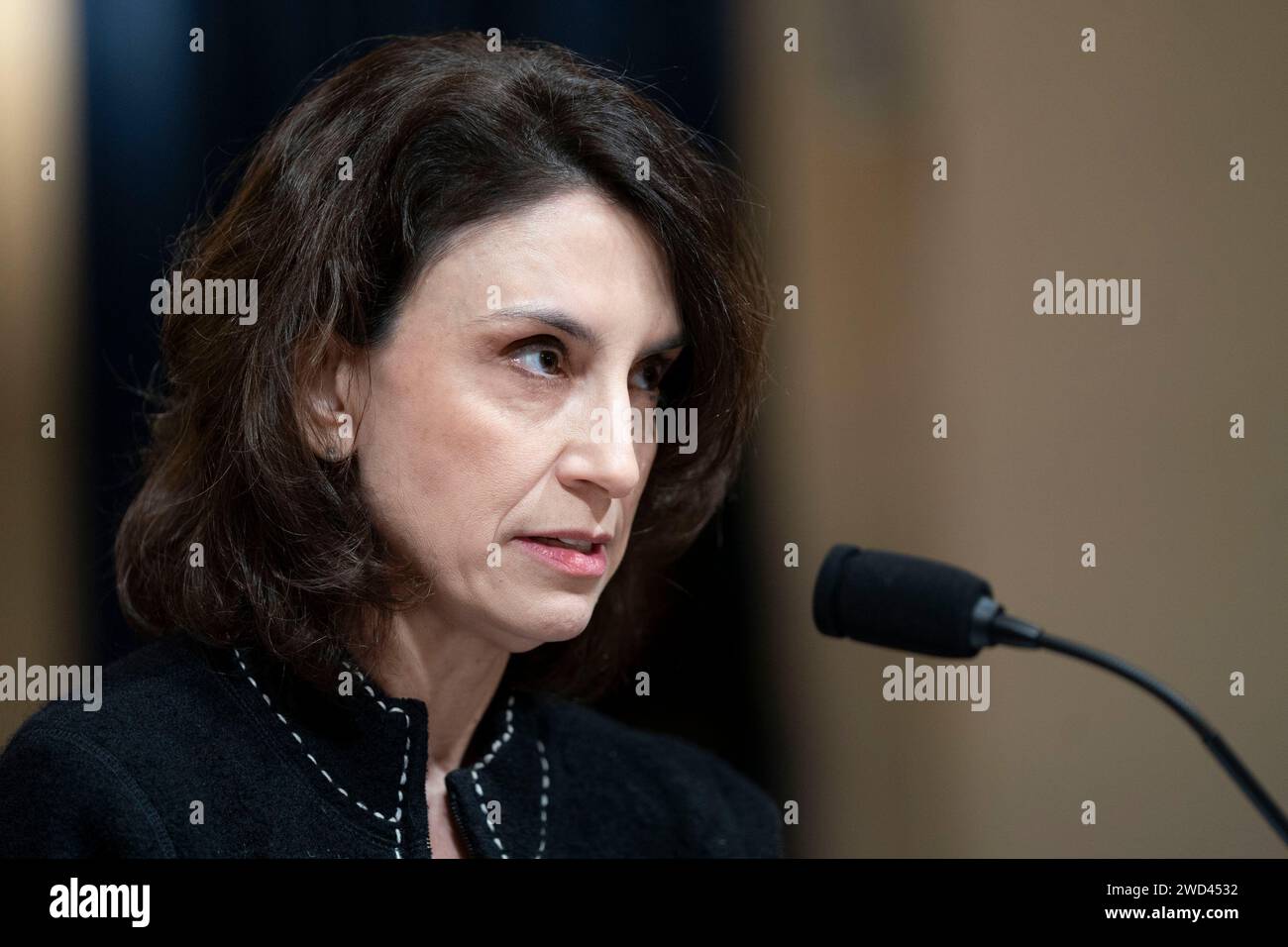 Washington, United States. 18th Jan, 2024. Director of the Law and ...