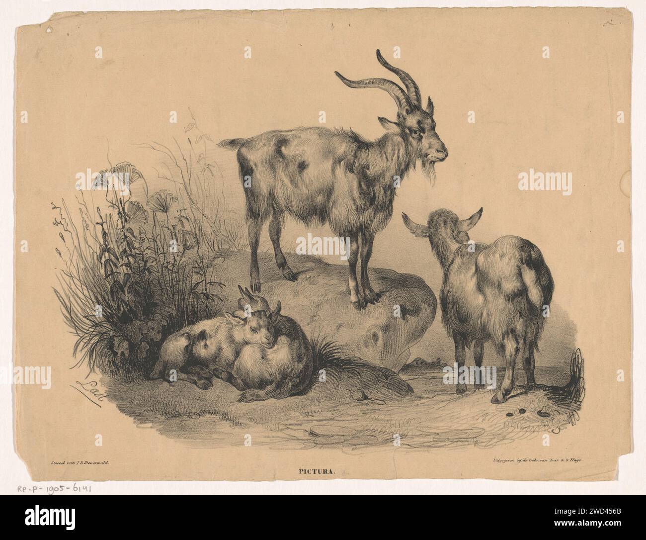 Four Goats, Carel Christiaan Antony Last, 1834 - 1850 print Bok, goat ...