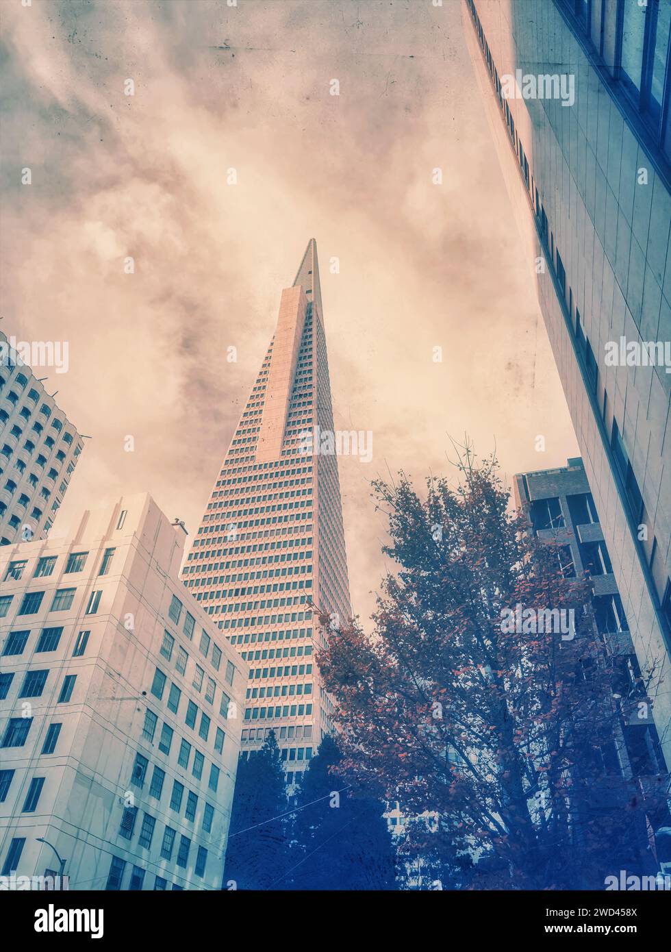 Low angle shot at San Francisco iconic landmark, the TransAmerica ...