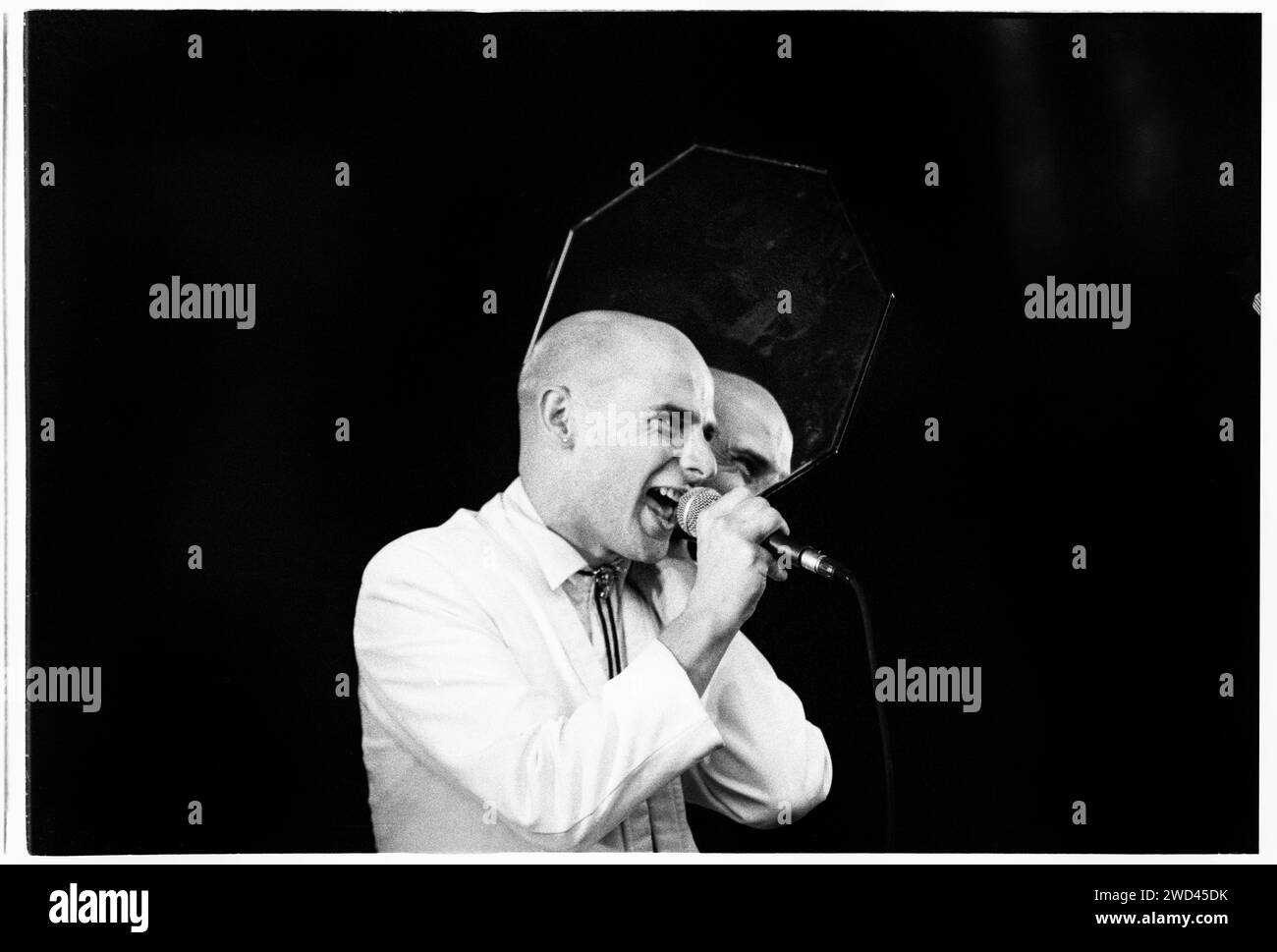 Danbert nobacon hi-res stock photography and images - Alamy