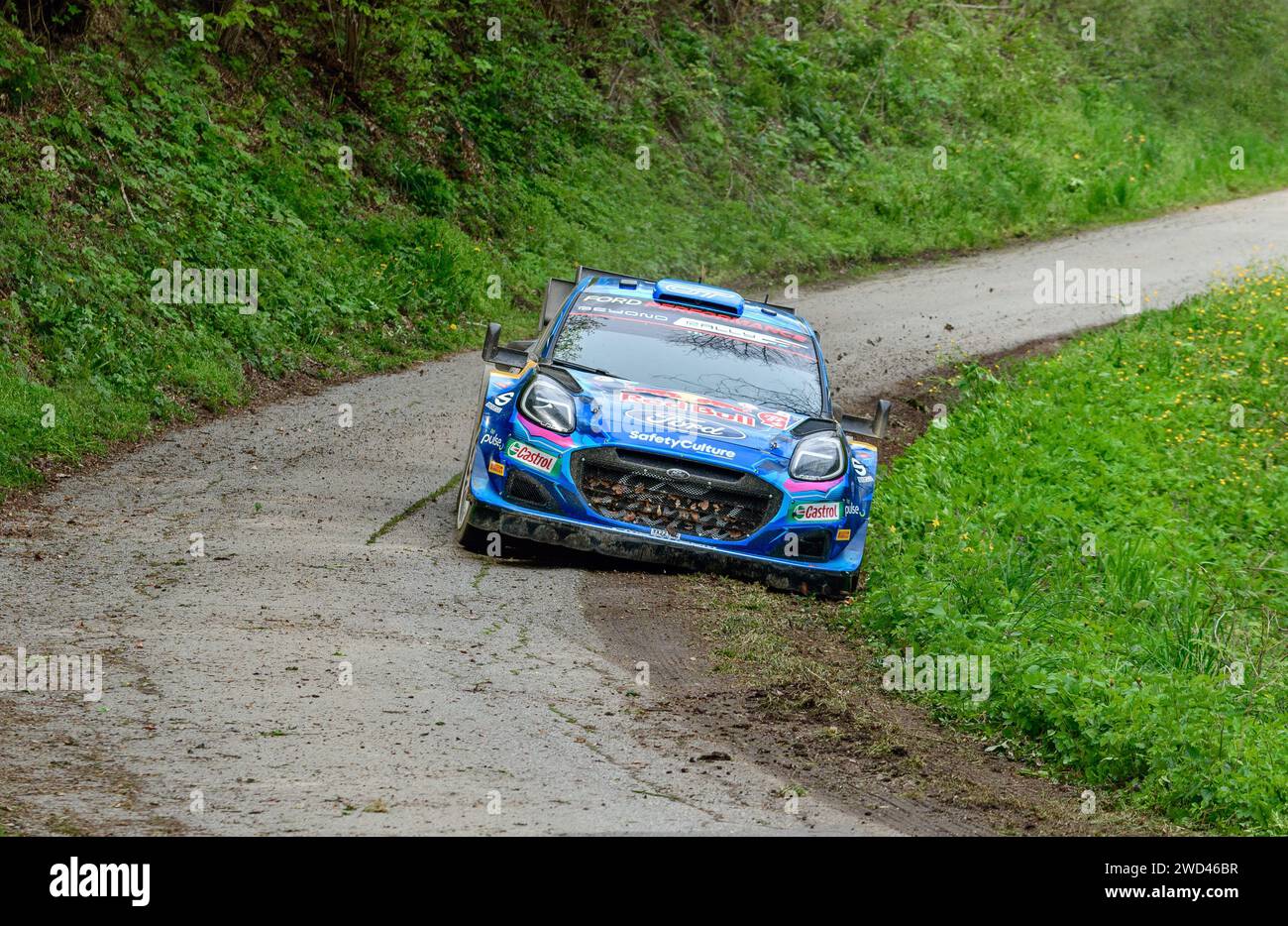 Ott Tanak in his Ford M-sport WRC race car at WRC Croatia 2023 special ...
