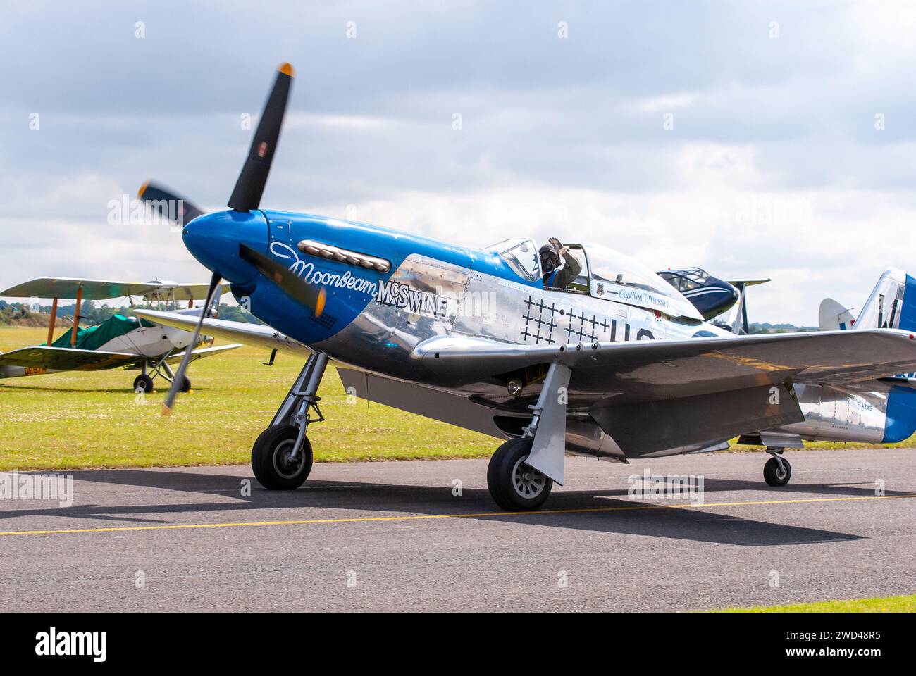 P51 mustang warbird fighter plane from WW2 ‘Moonbeam McSwine' Tail ...