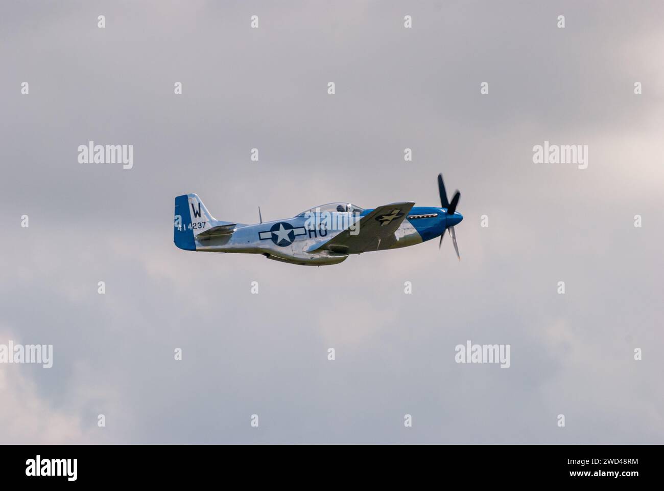 P51 mustang warbird fighter plane from WW2 ‘Moonbeam McSwine' Tail ...