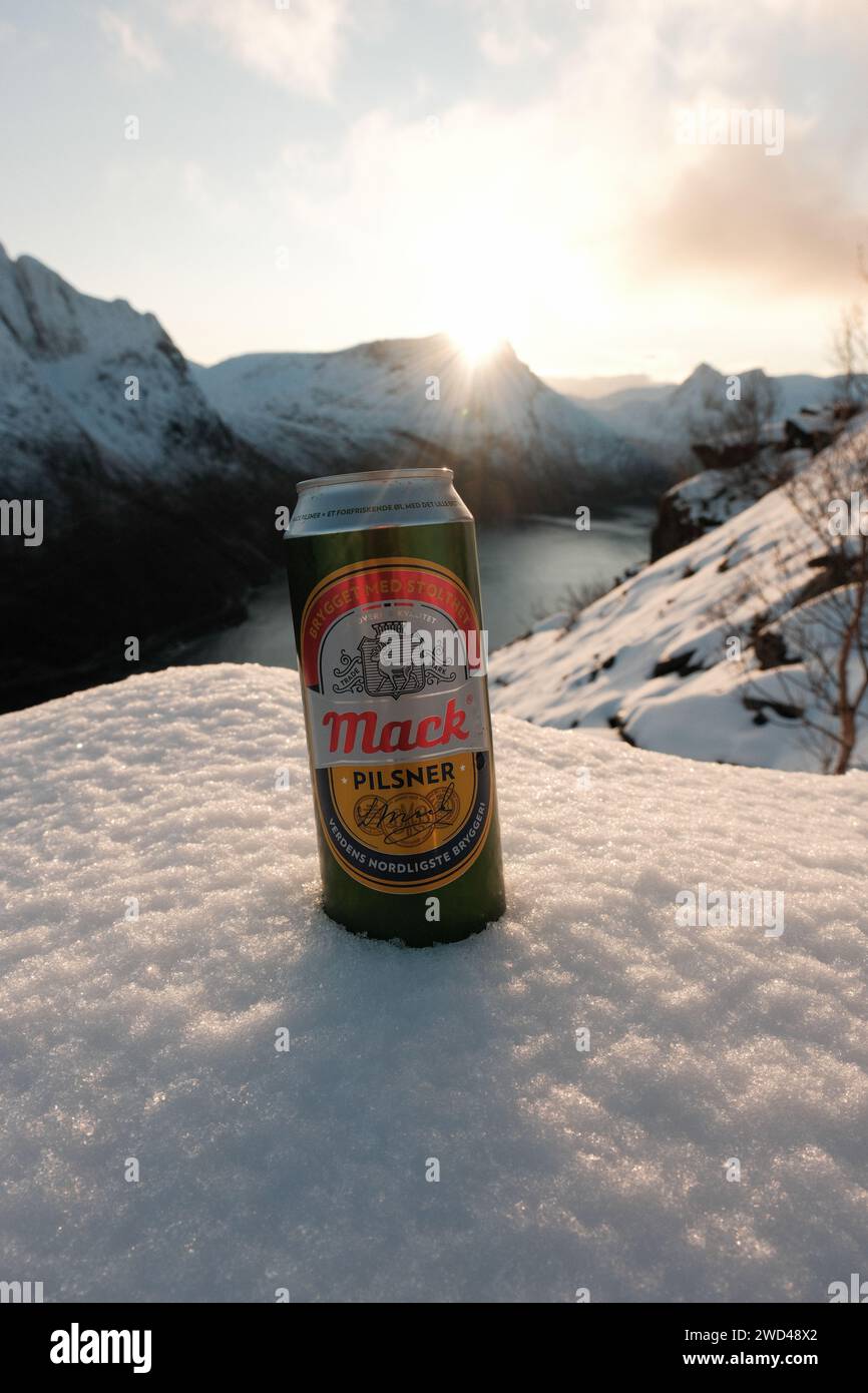 Pilsner beer hi-res stock photography and images - Alamy
