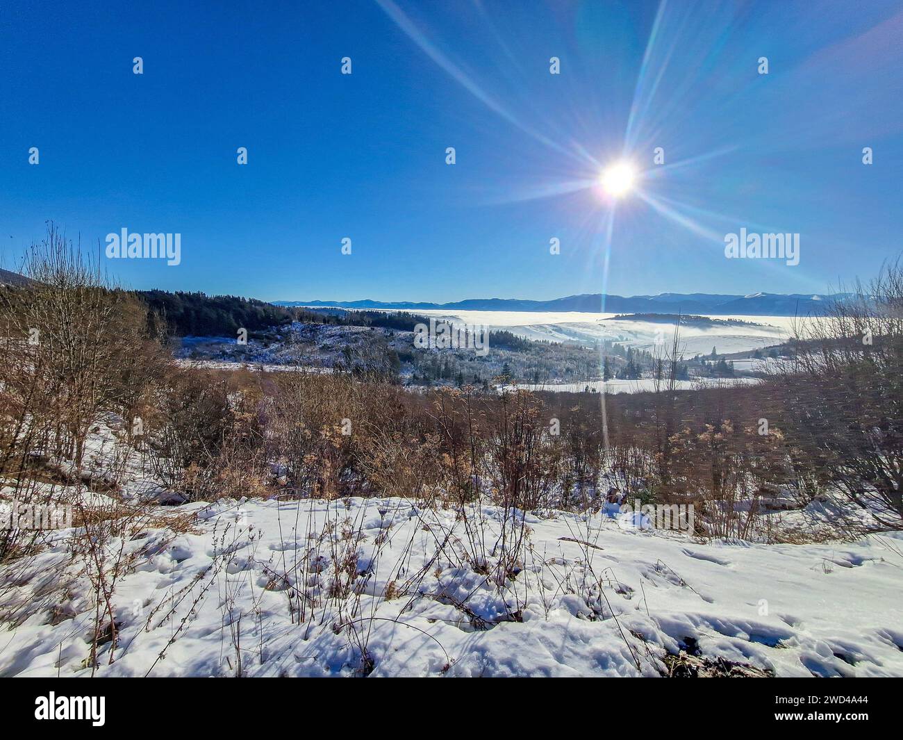 Winter in the Slovak Tatra Mountains full of snow Stock Photo - Alamy