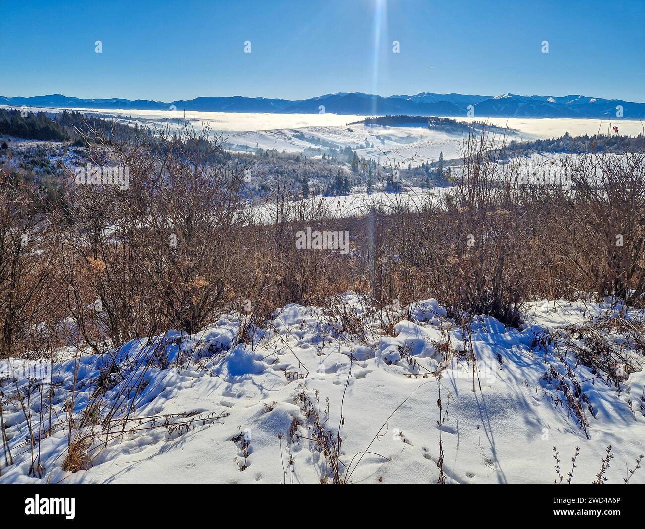 Winter in the Slovak Tatra Mountains full of snow Stock Photo - Alamy