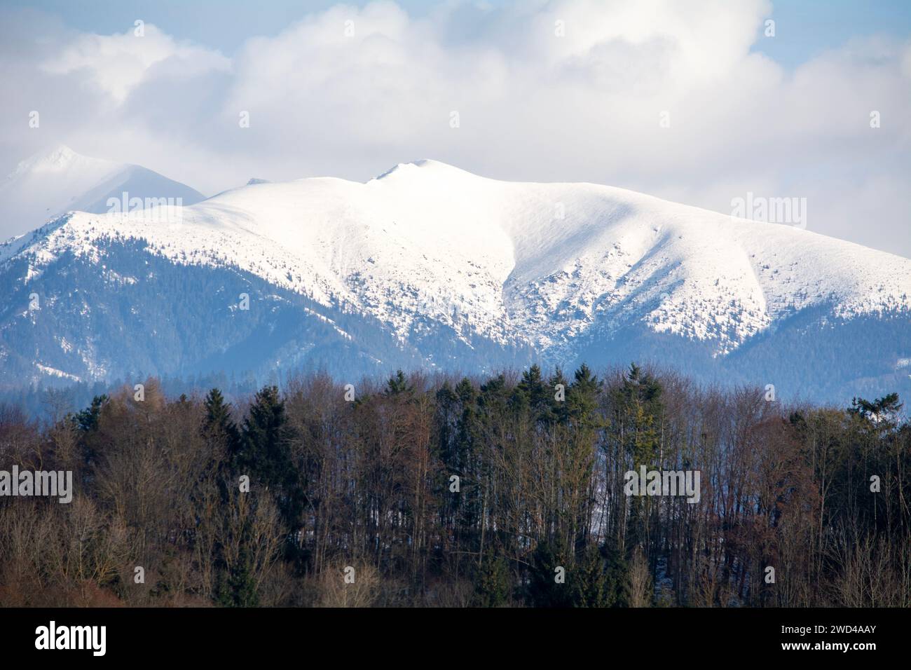 Winter in the Slovak Tatra Mountains full of snow Stock Photo - Alamy