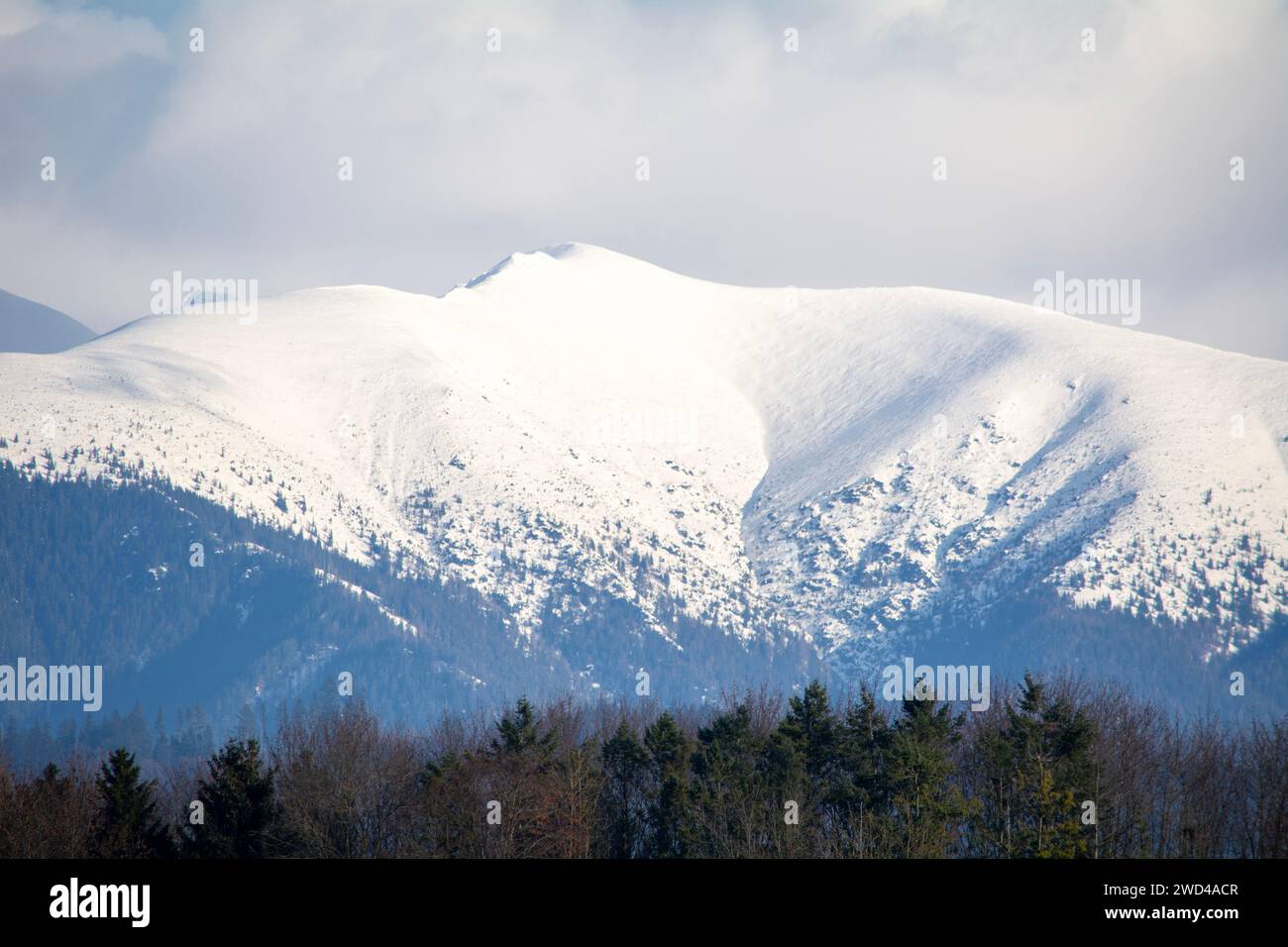 Winter in the Slovak Tatra Mountains full of snow Stock Photo - Alamy