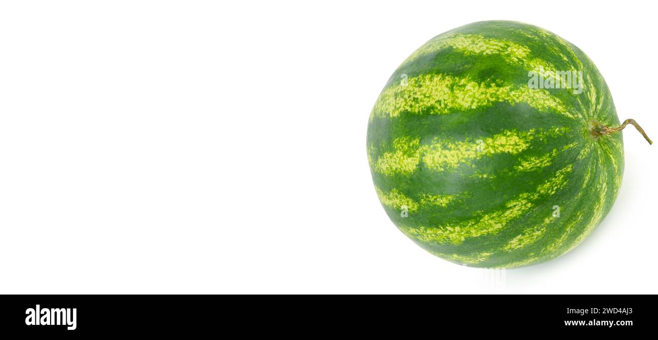 Round watermelon isolated on white background. Wide photo. Free space ...