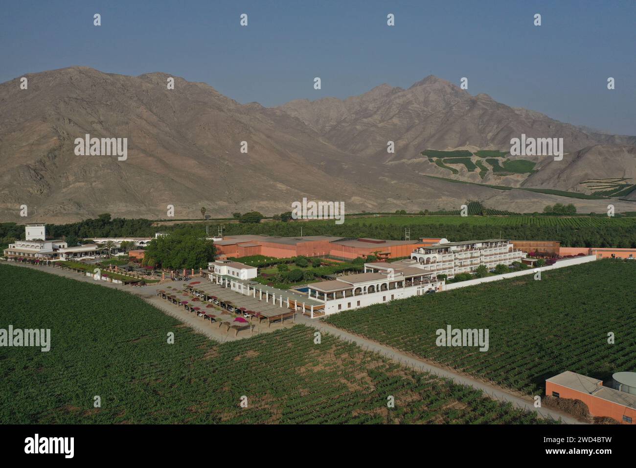 Queirolo hi-res stock photography and images - Alamy