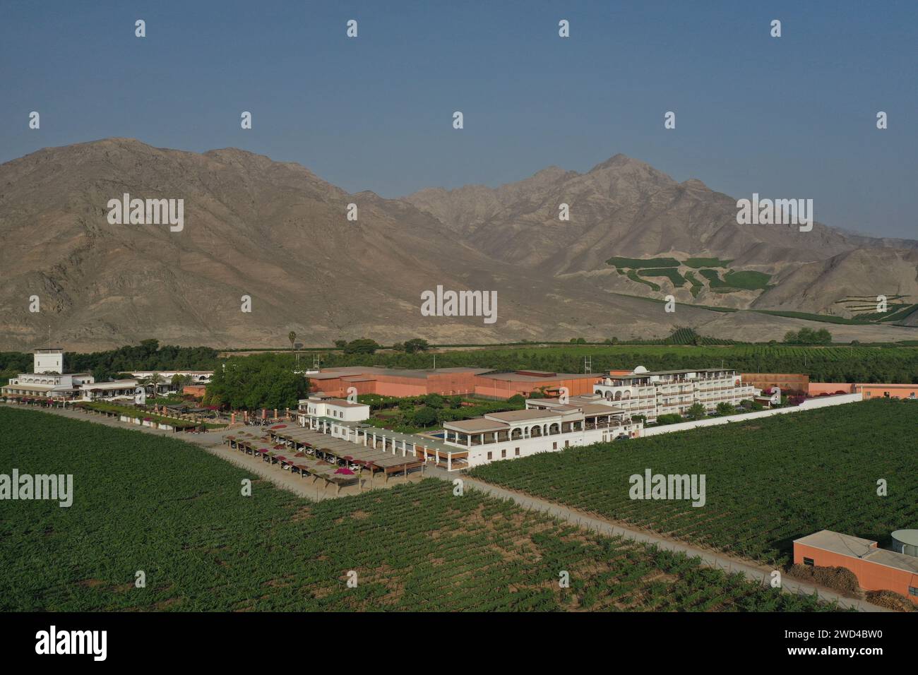 Viñas Queirolo - Peru Stock Photo - Alamy