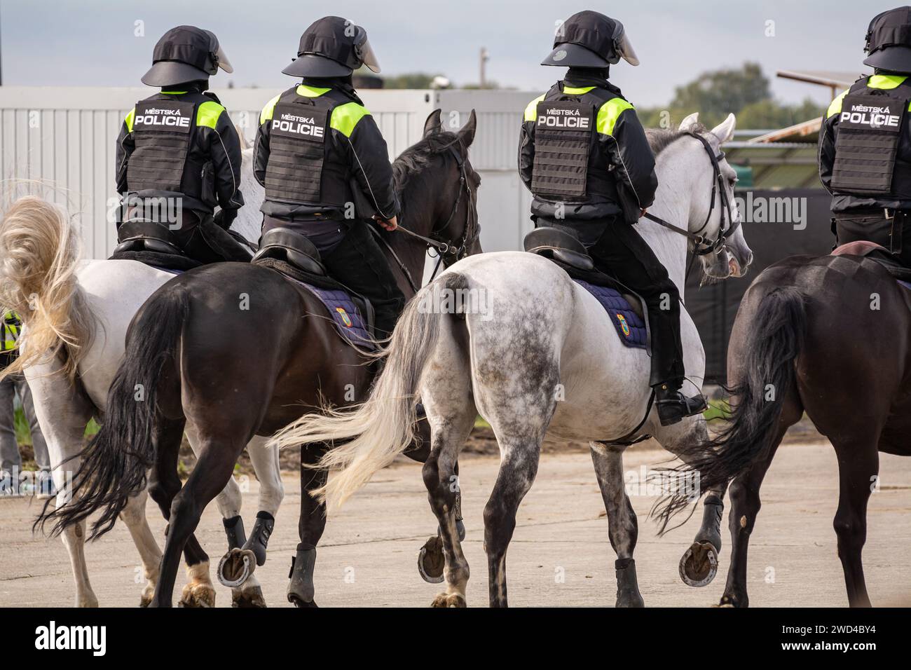 Riot police on horseback. Czech Republic city police officers mounted ...