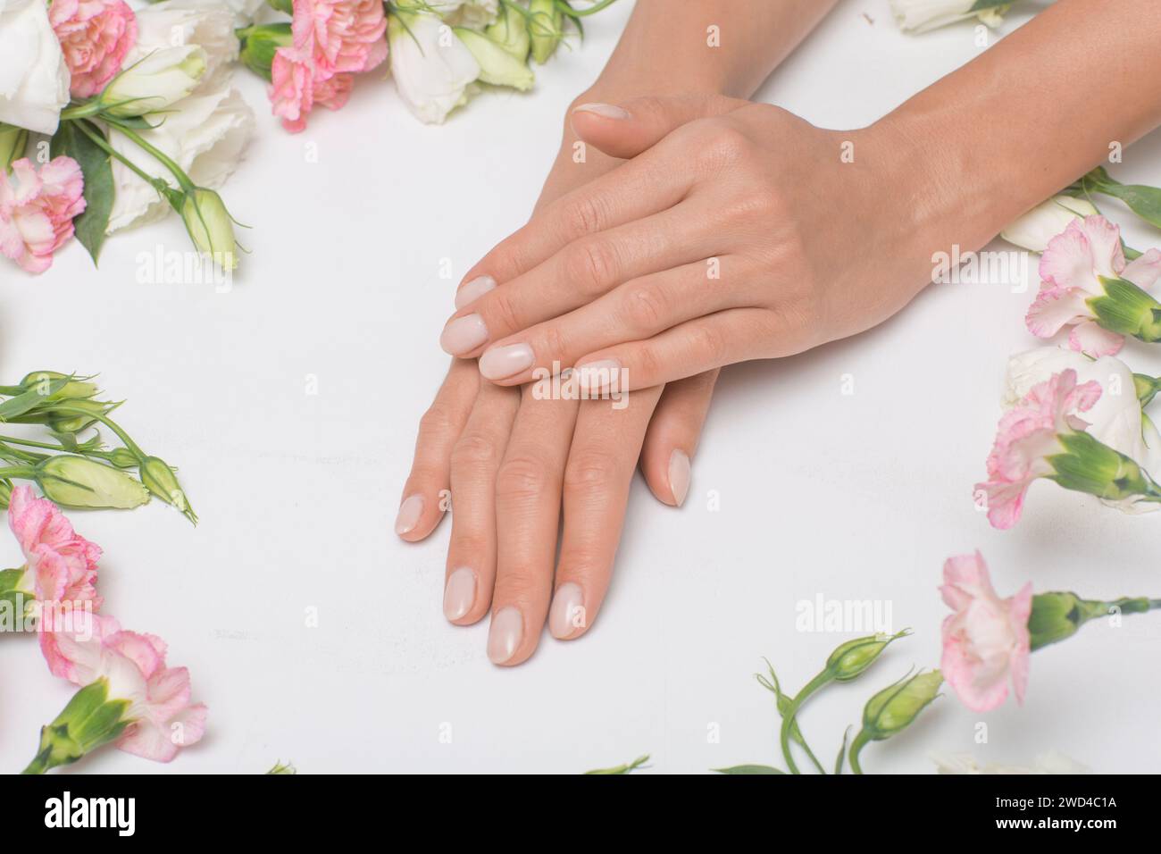 The picture of ideal done manicure and pedicure. Female hands and legs ...