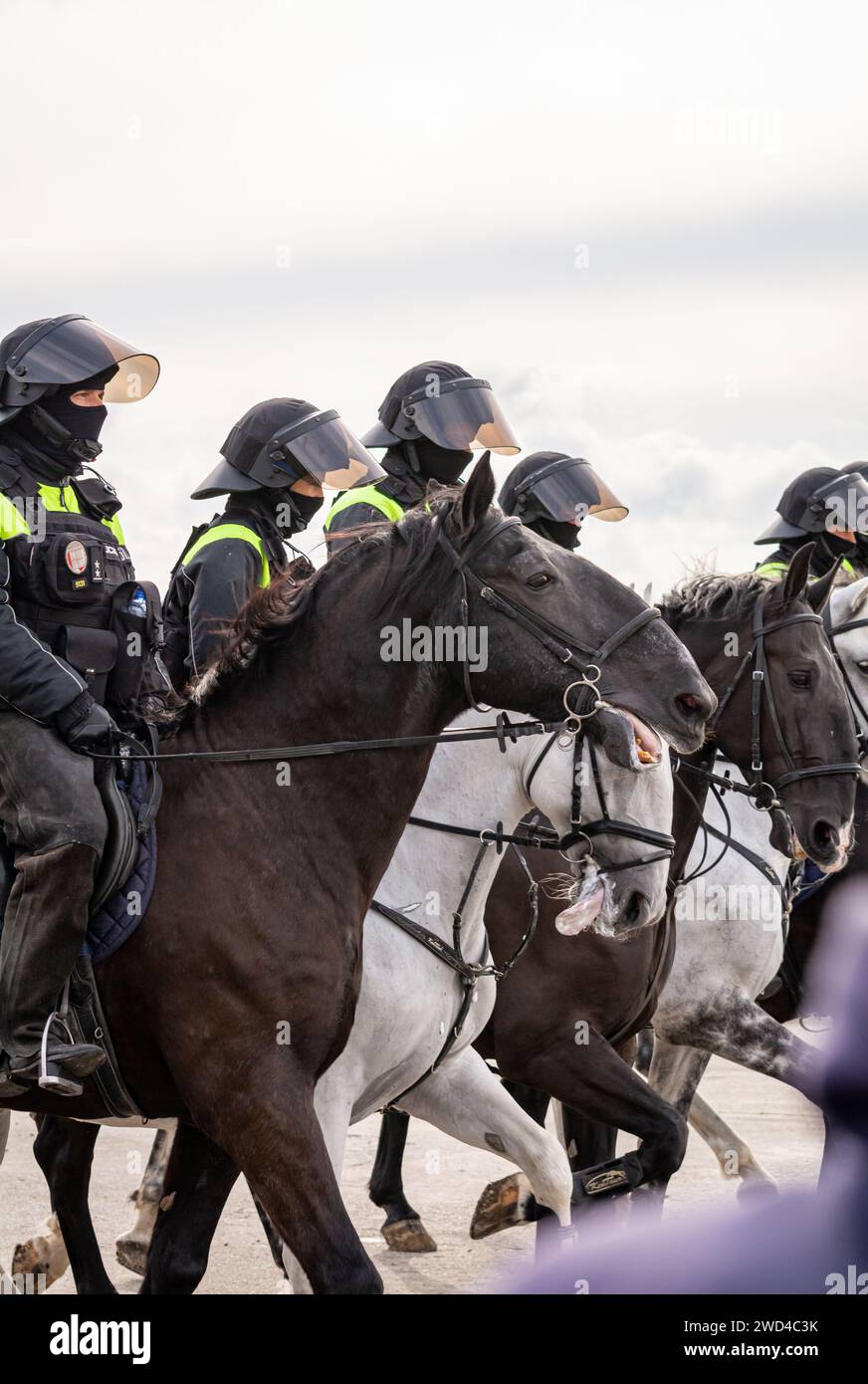 Police horse riot training hi-res stock photography and images - Alamy