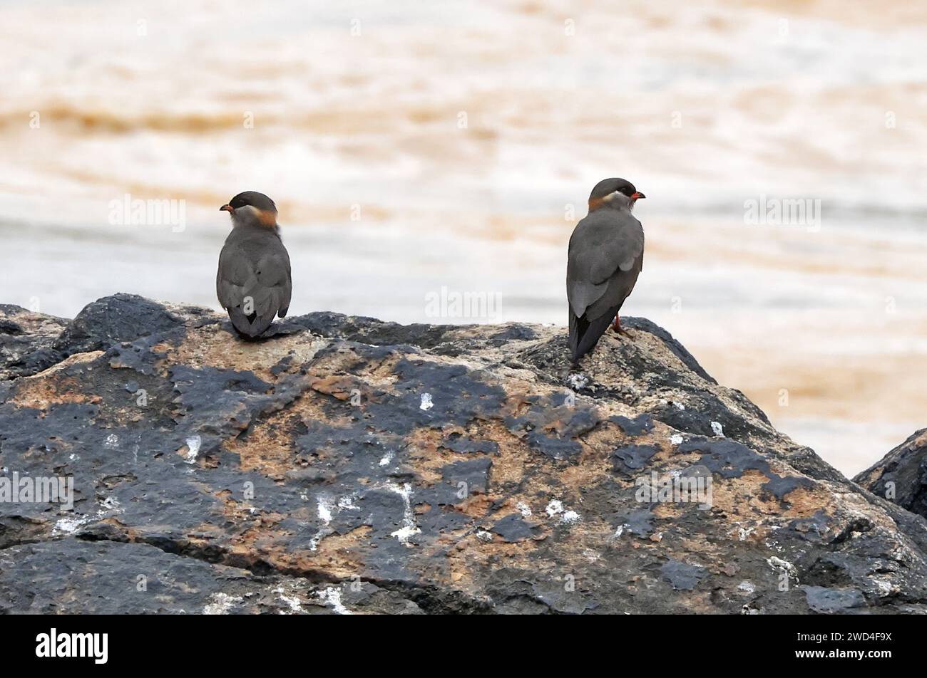 River pra hi-res stock photography and images - Alamy