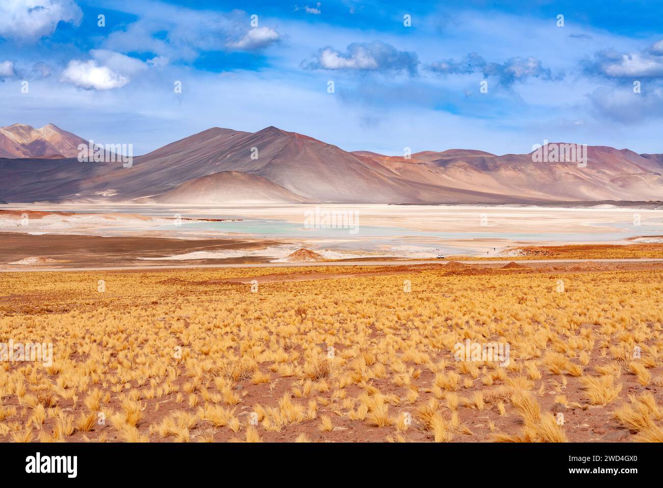 Salar de Aguas Calientes (Spanish for Hot Waters Salt Lake) and lagoon ...