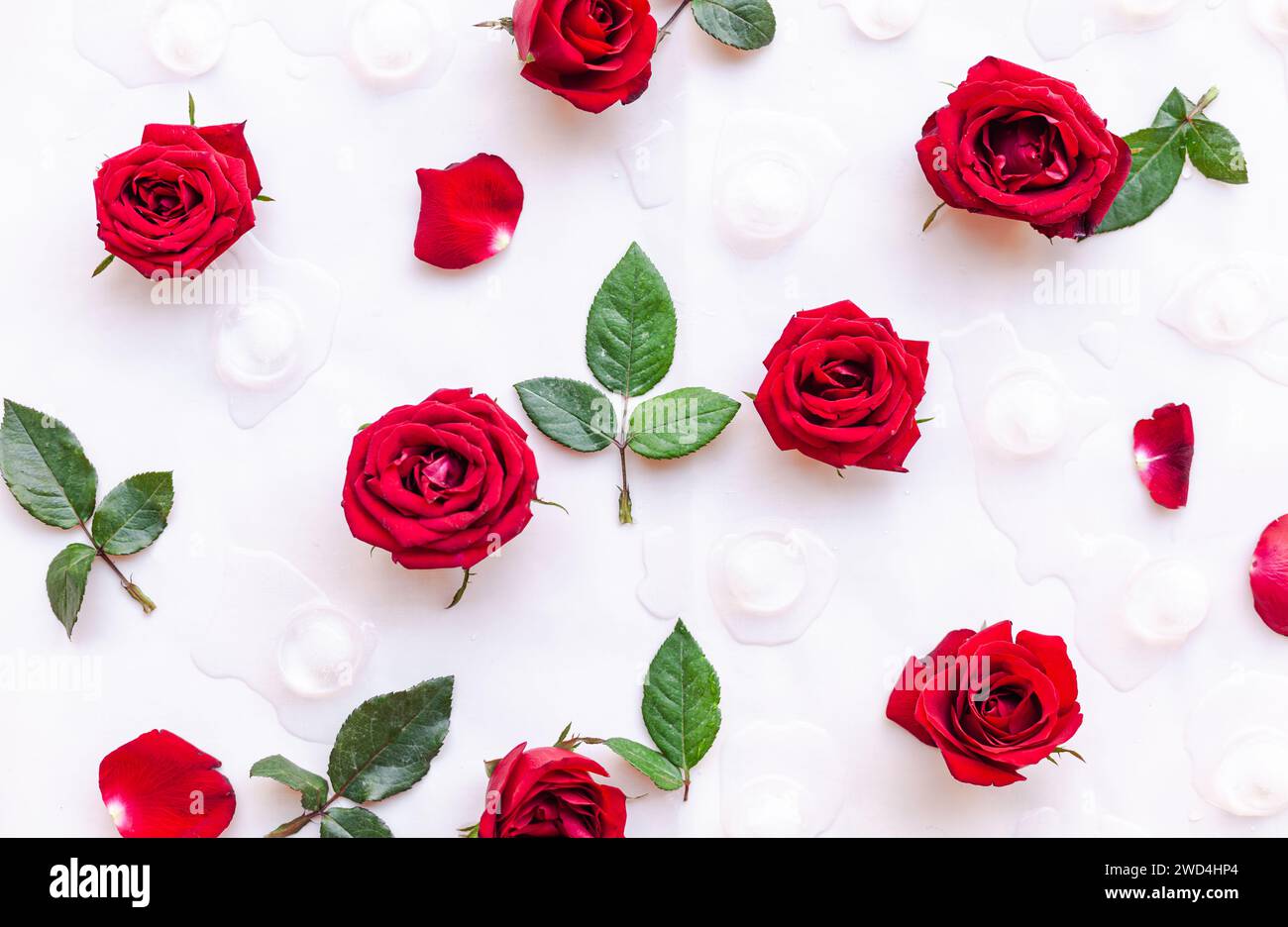 Red roses and pearls on white surface Stock Photo - Alamy