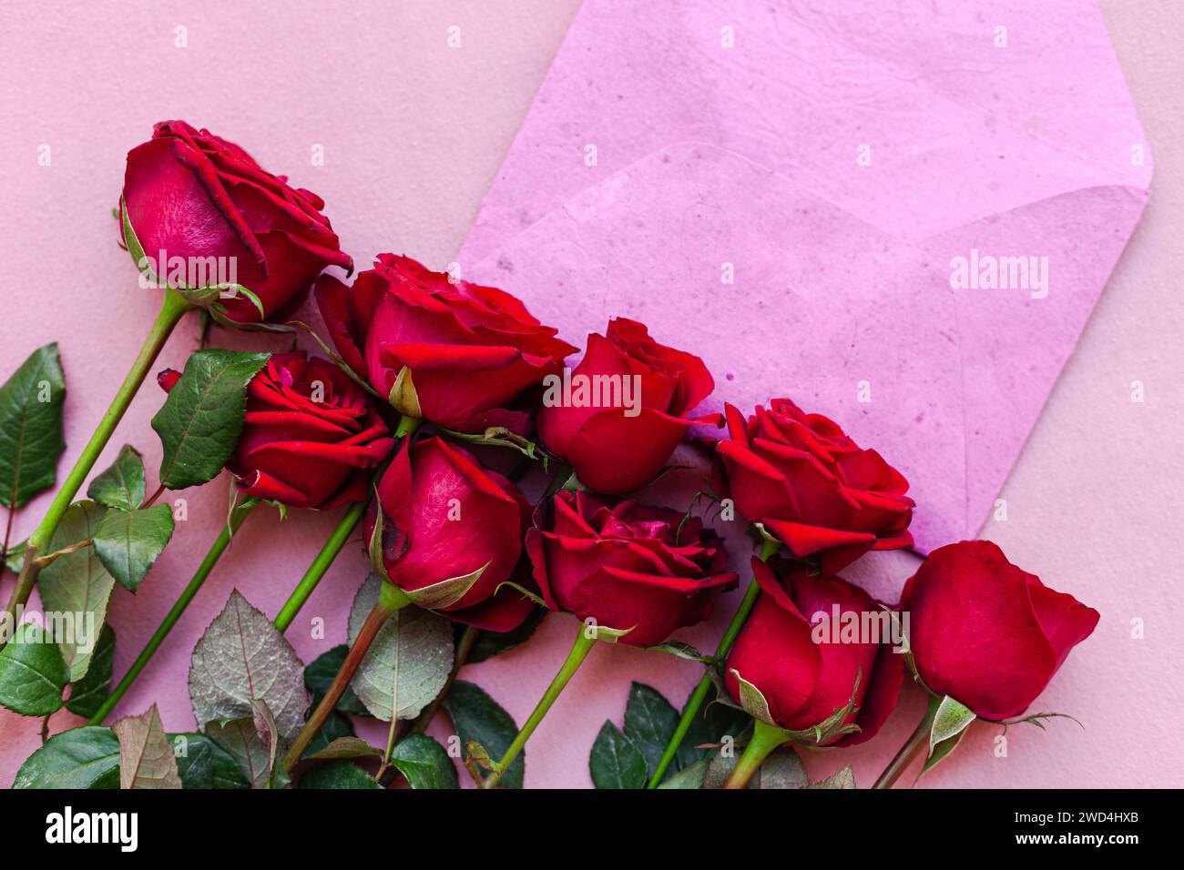 Pink envelope hi-res stock photography and images - Alamy