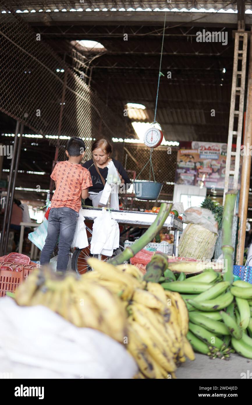 Photography in a market square displaying bananas Stock Photo - Alamy