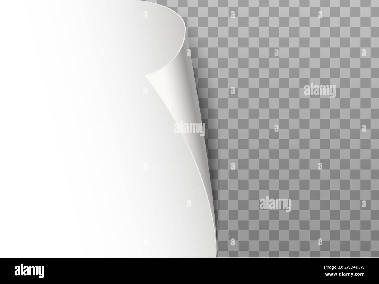 realistic vector illustration. Curled paper corner Stock Vector Image ...