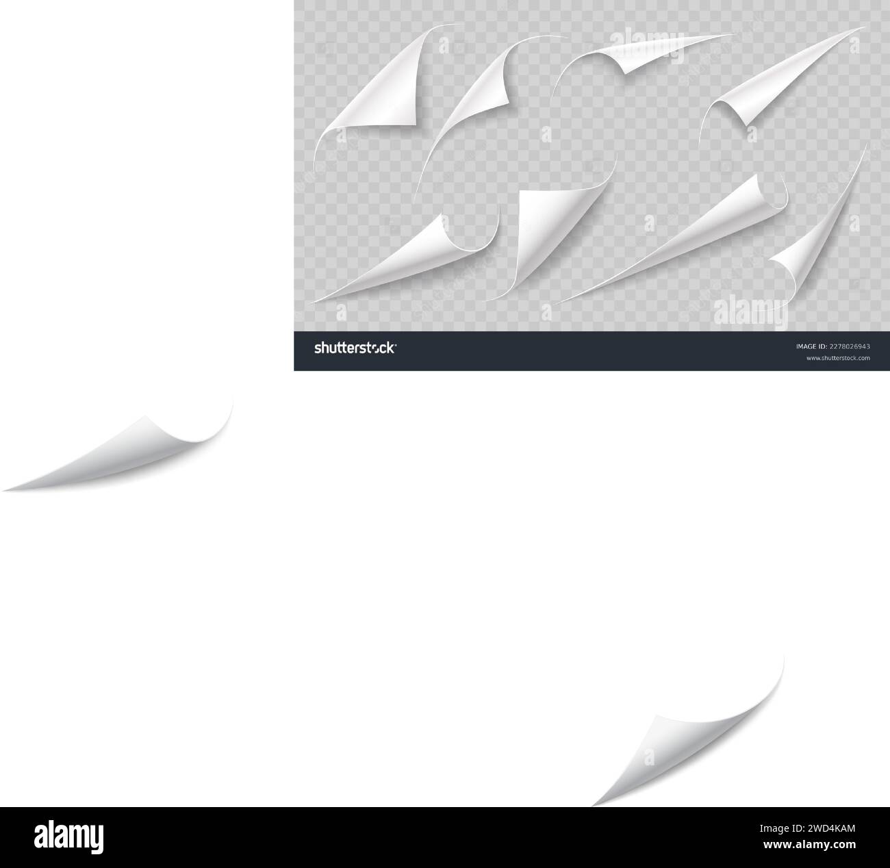 Education cuts horizontal Stock Vector Images - Alamy