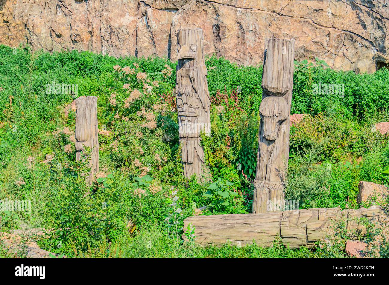 Weathered totem pole in pacific northwest forest. wooden totems Stock ...
