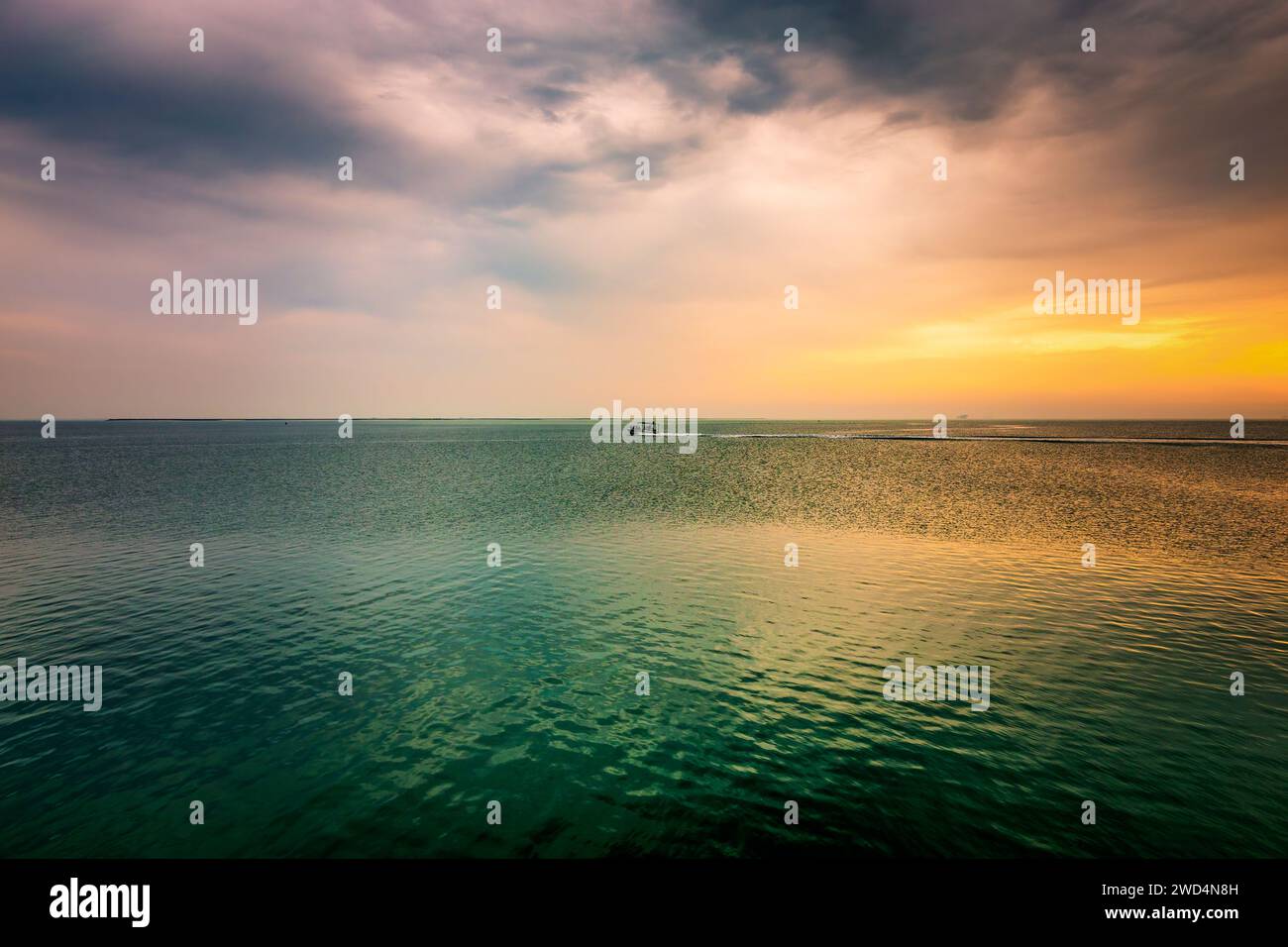 Golden Hour Harbor: Capturing the Tranquil Beauty of Sunrise in ...