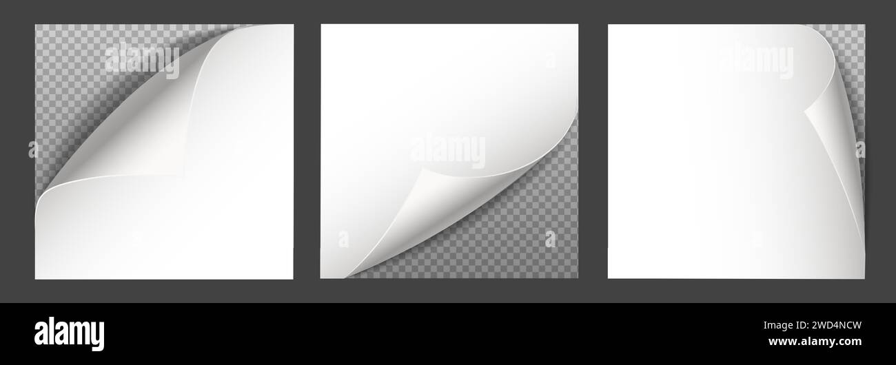 realistic vector illustration. Curled paper corners Stock Vector Image ...