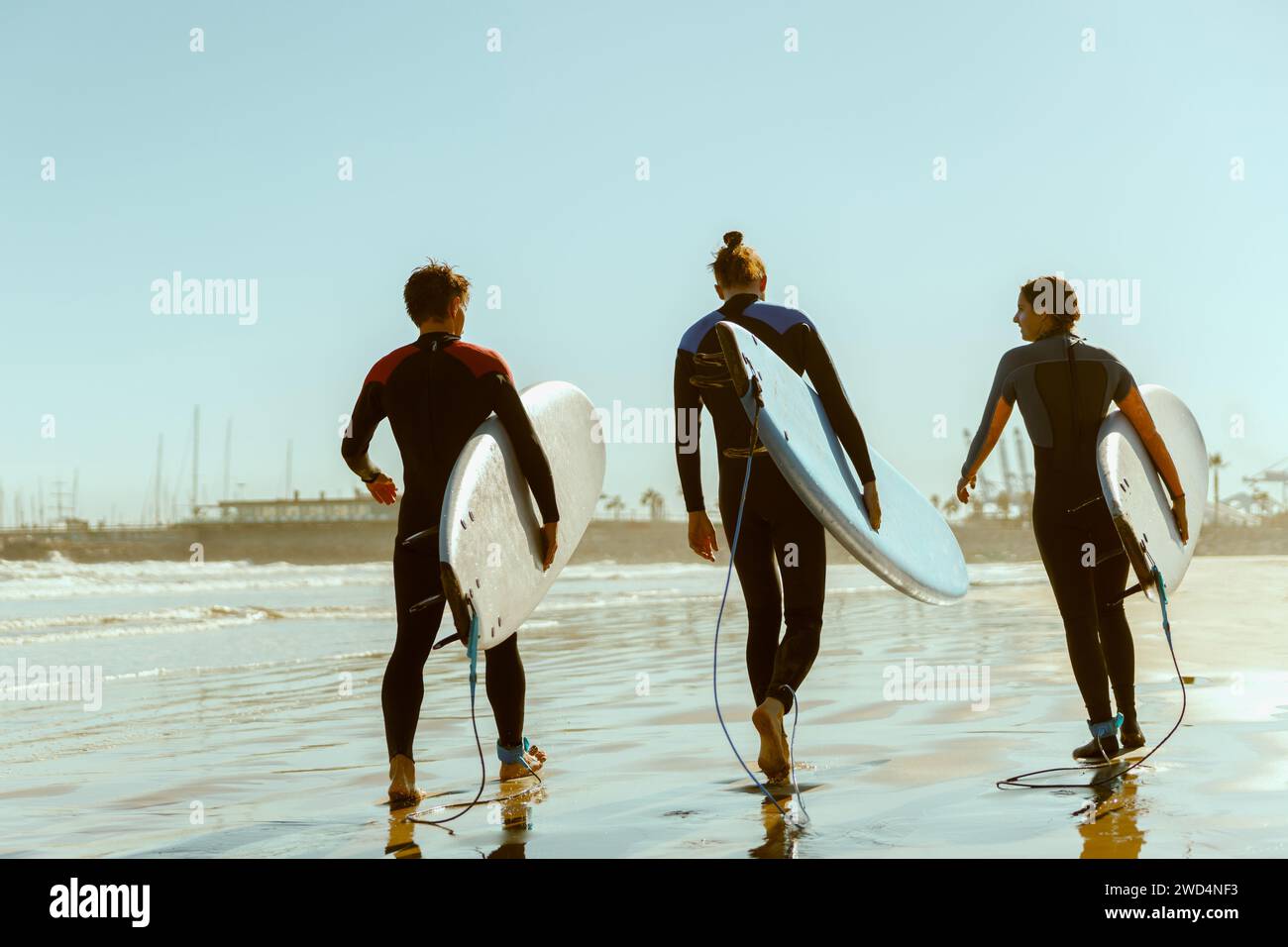 Back view of surfers with surfboards in wetsuit are walking on the ...