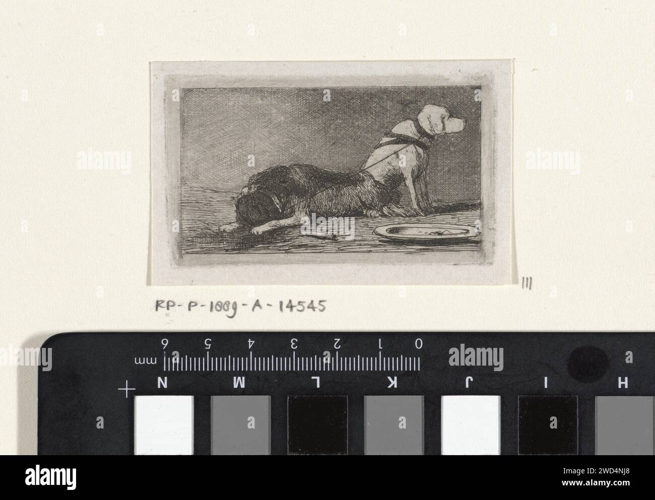 Two tied dogs, Jan Weissenbruch, 1837 - 1880 print A dog is lying on ...