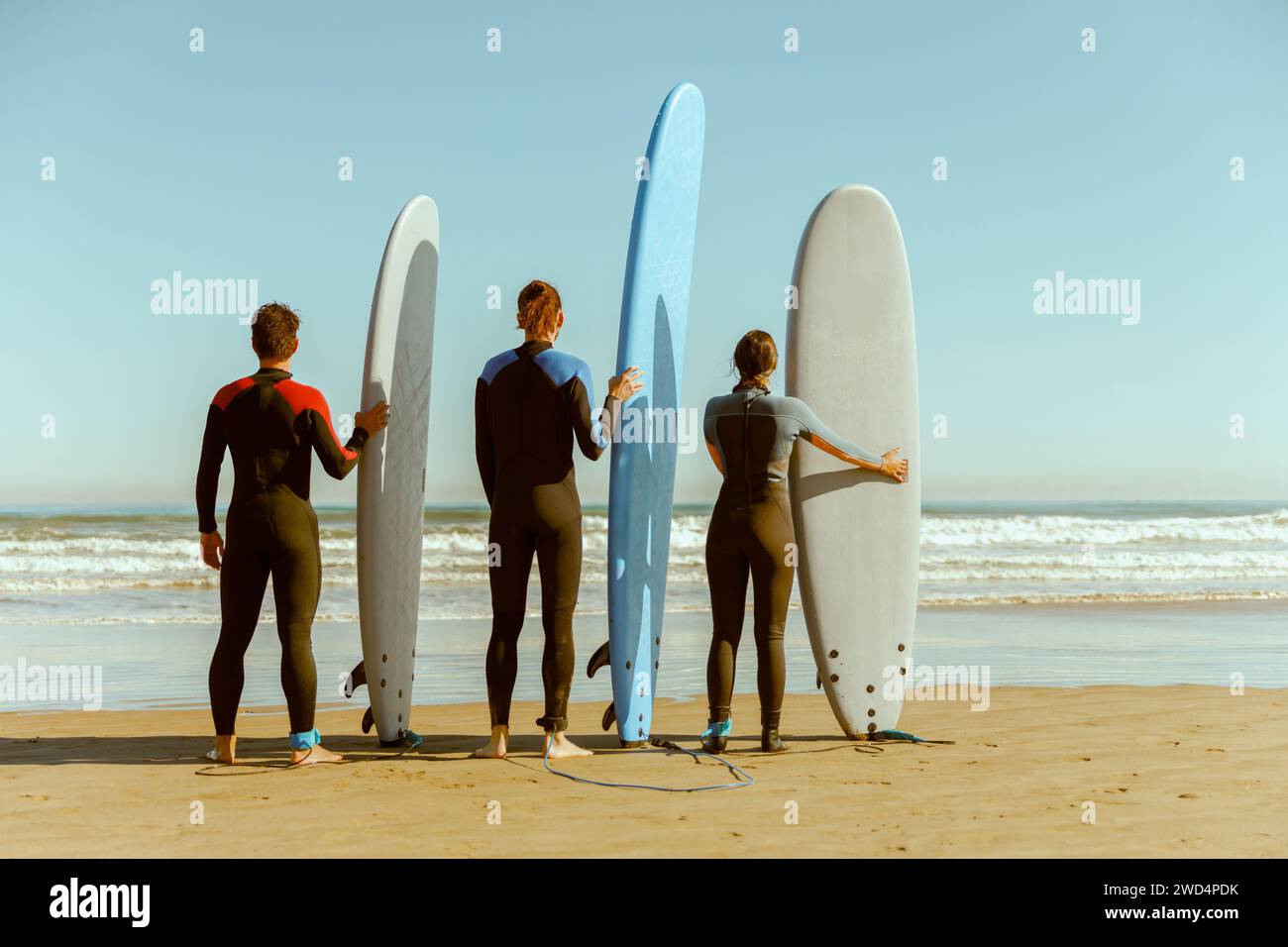 Back view of surfers in wetsuits standing with surfboards and looking ...