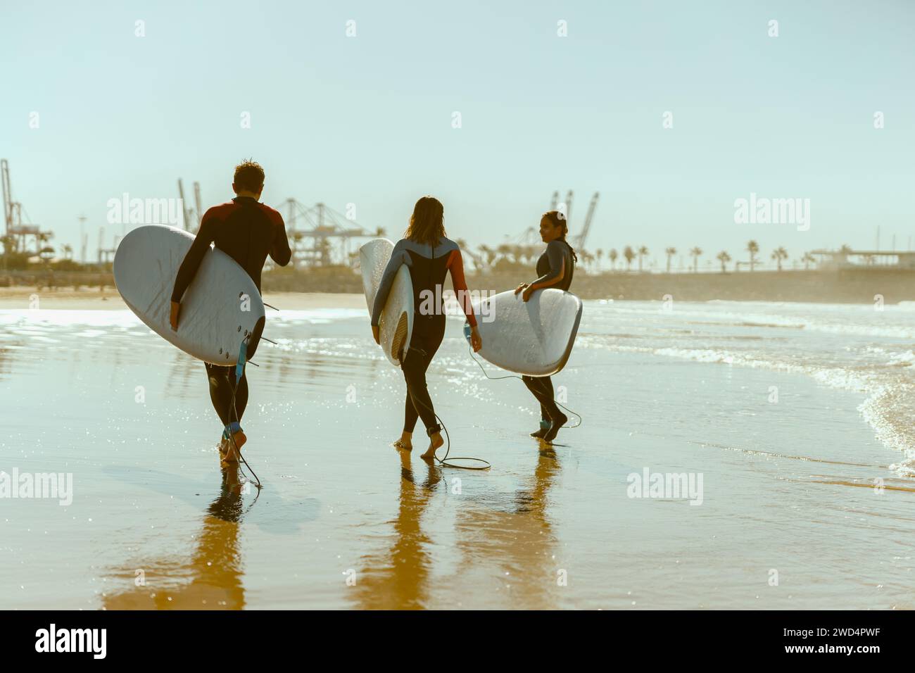Back view of surfers with surfboards in wetsuit are walking on the ...