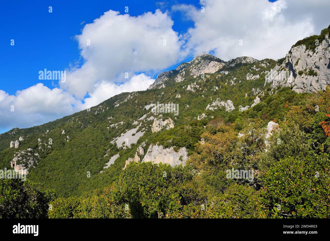 Mountain landscape with clouds and trees Stock Photo - Alamy