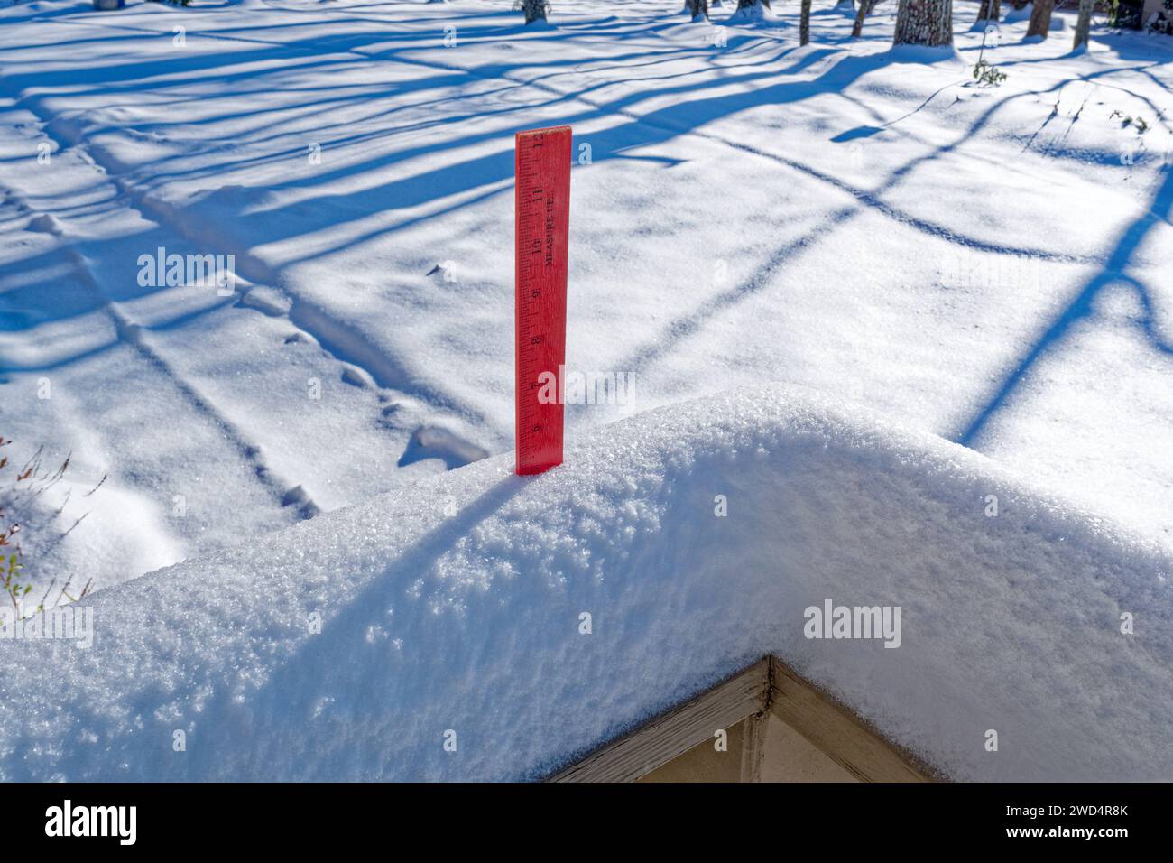 A ruler measuring the snowfall of 5" on a deck railing closeup view ...