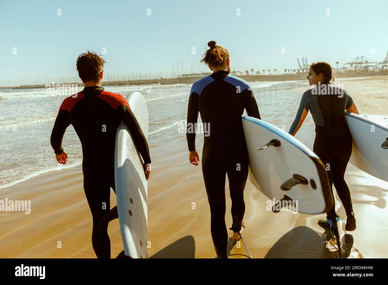 Back view of group of friends with surfboards in wetsuit entering ...