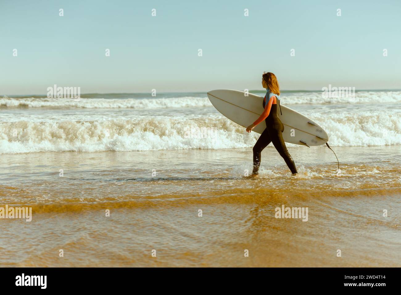 Side view of female surfer in wetsuit with his surfboard entering the ...