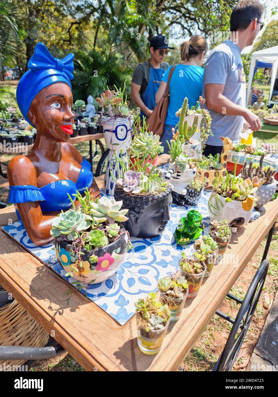 Campo Grande, MS, Brazil - September 18, 2022: growing potted plants ...