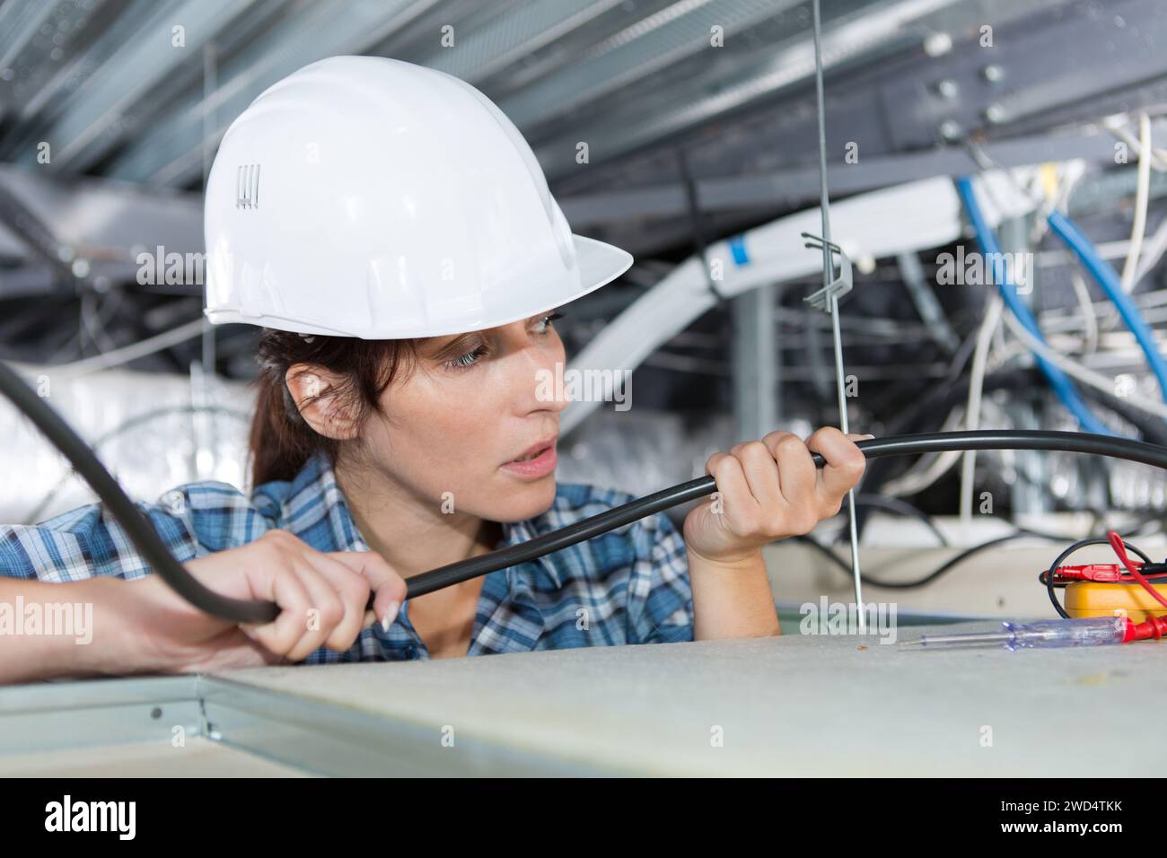 female electrician checking cable in roof space Stock Photo - Alamy