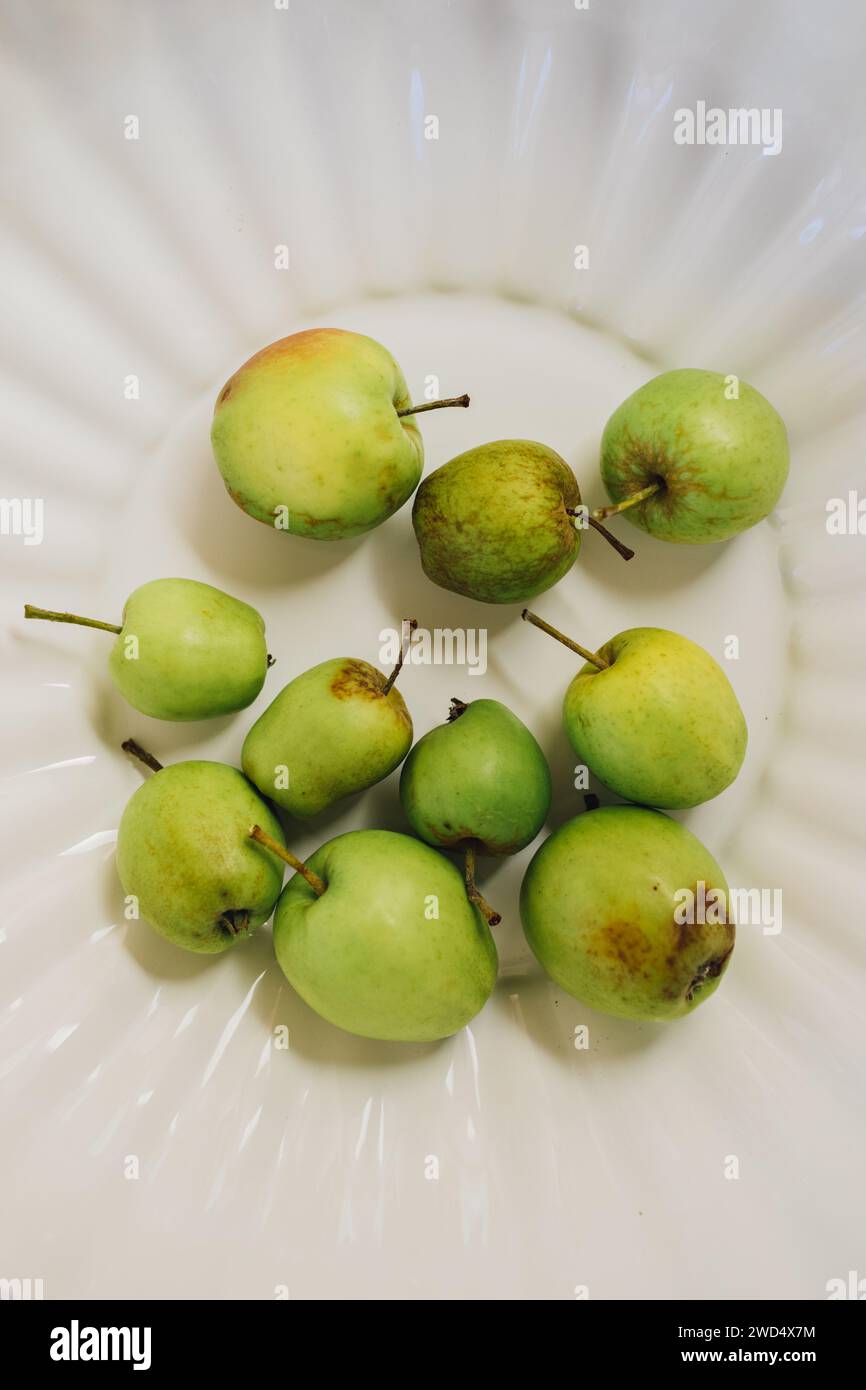 Tiny dish hi-res stock photography and images - Alamy