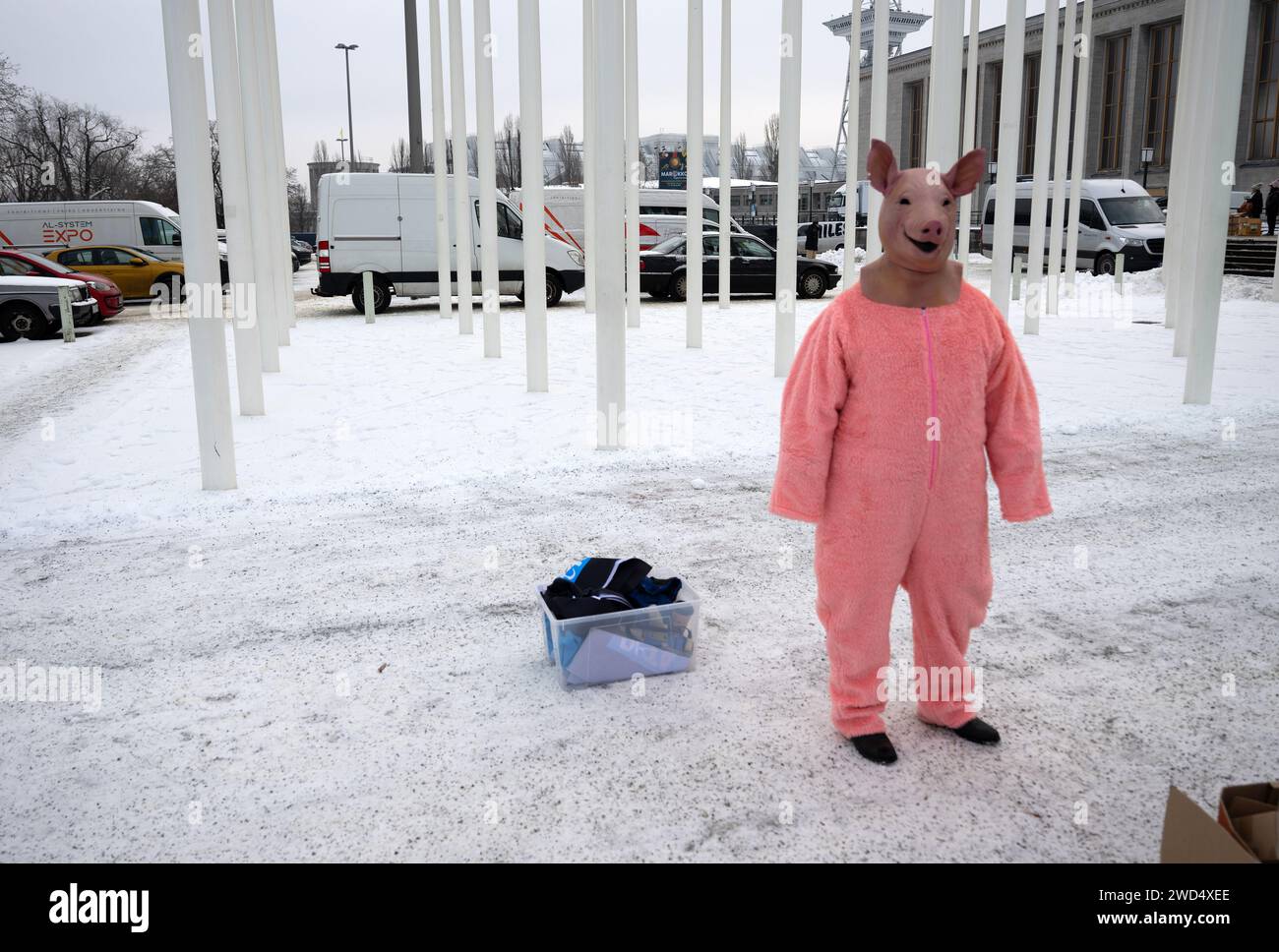 Berlin, Germany. 18th Jan, 2024. Dressed up as a pig, a participant in ...
