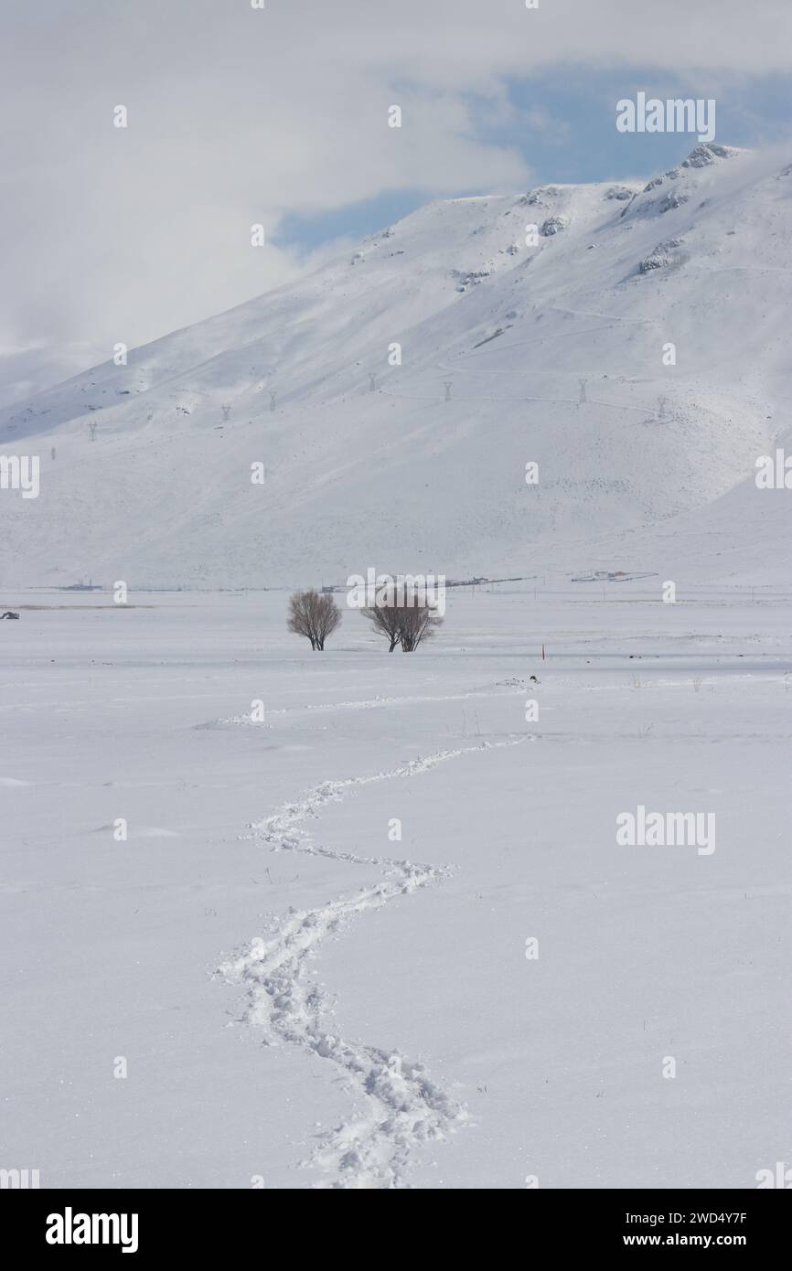 A pristine winter landscape, marked by a solitary trail of footsteps ...