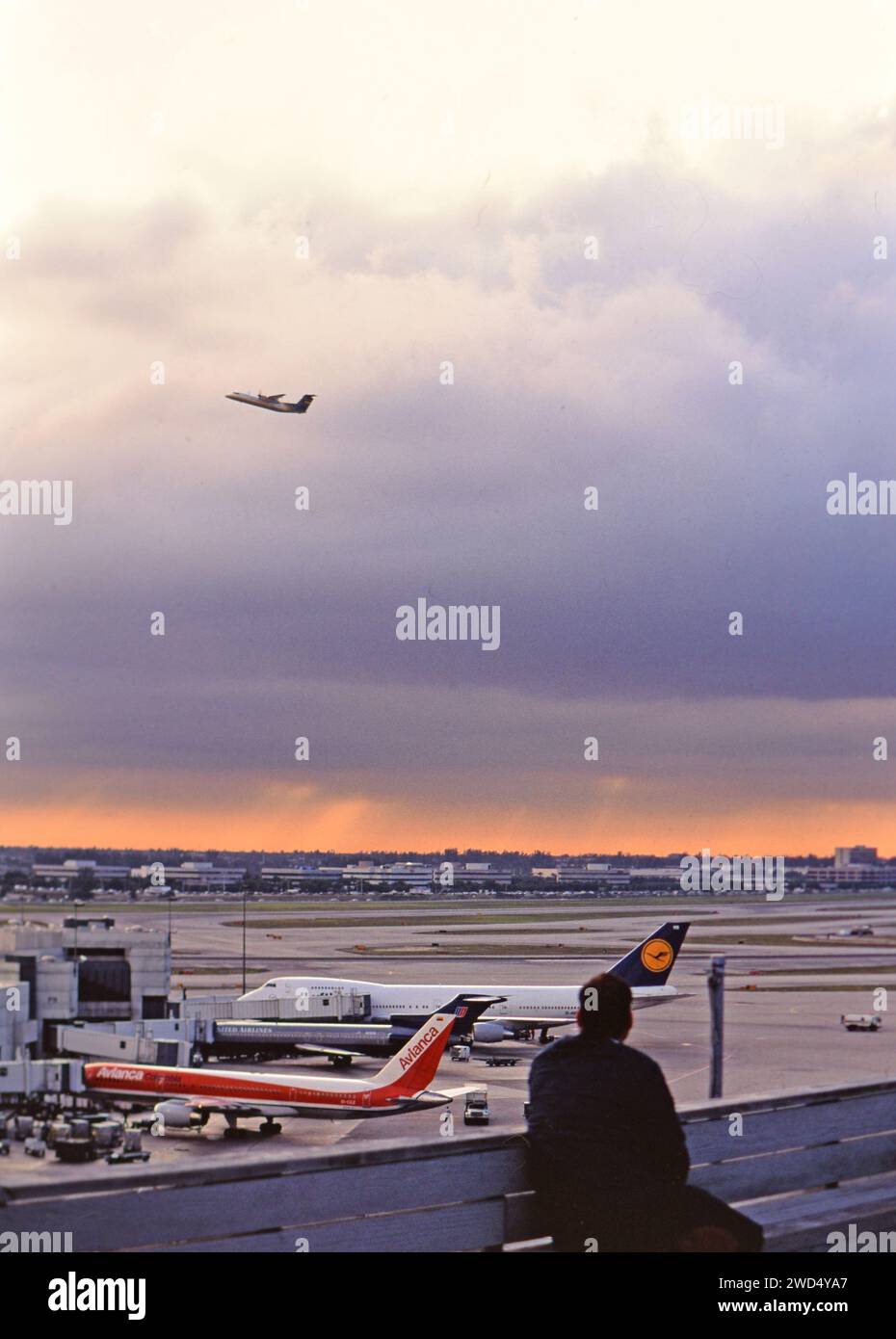 Miami International Airport: A man looks out over the tarmac at a plane ...