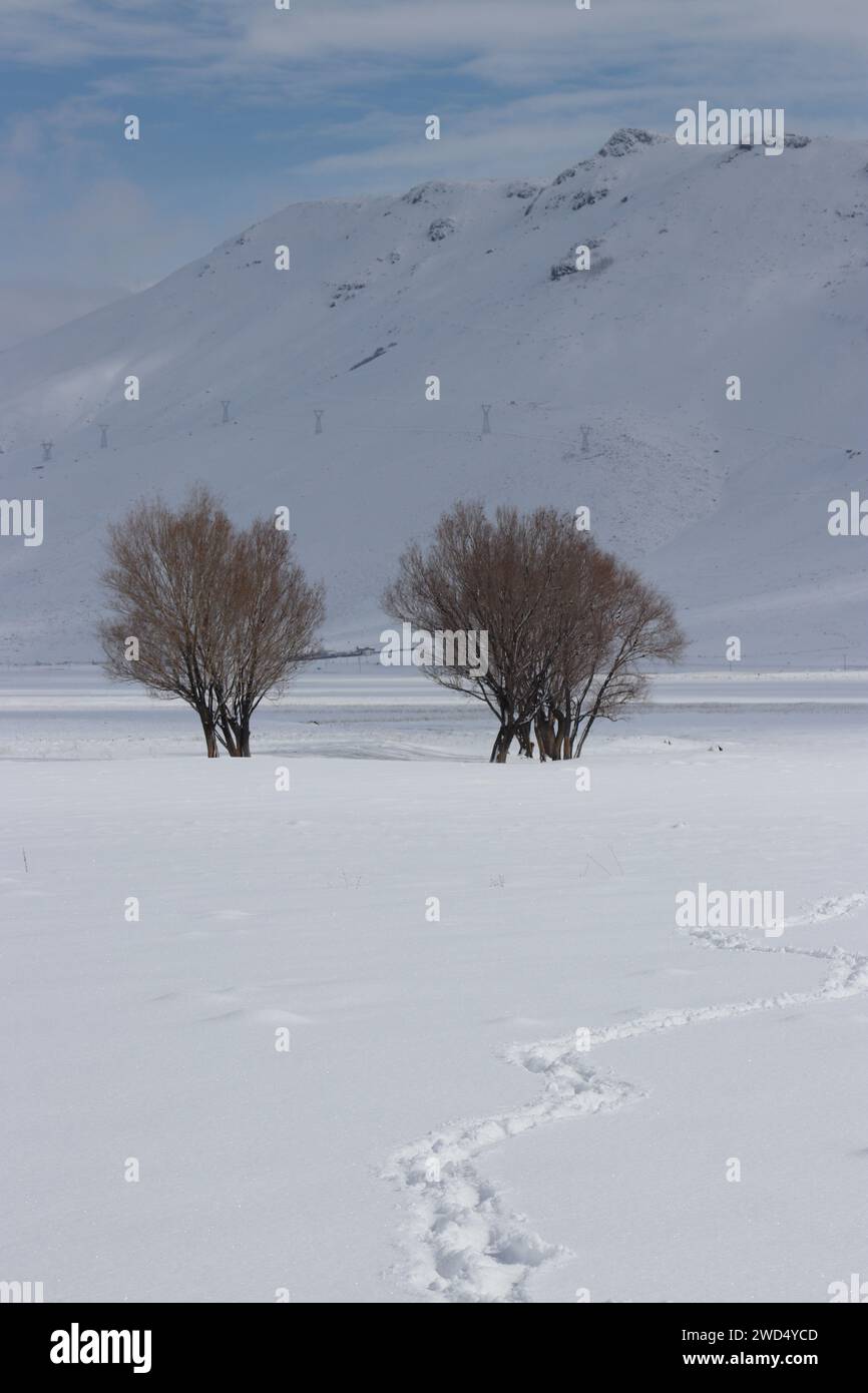 A pristine winter landscape, marked by a solitary trail of footsteps ...