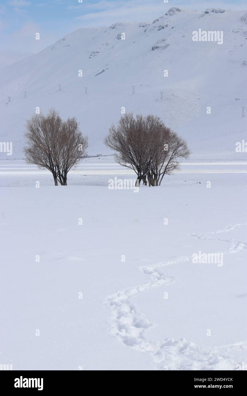 A pristine winter landscape, marked by a solitary trail of footsteps ...