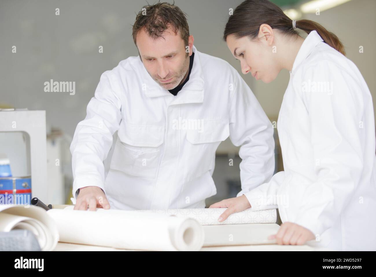 female apprentice learning wallpapering techniques Stock Photo - Alamy