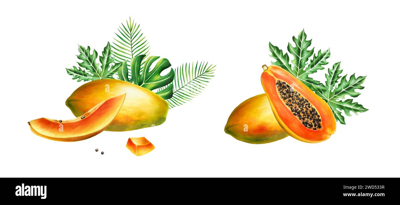 Marker sweet ripe composition with slice, half papaya and tropical ...
